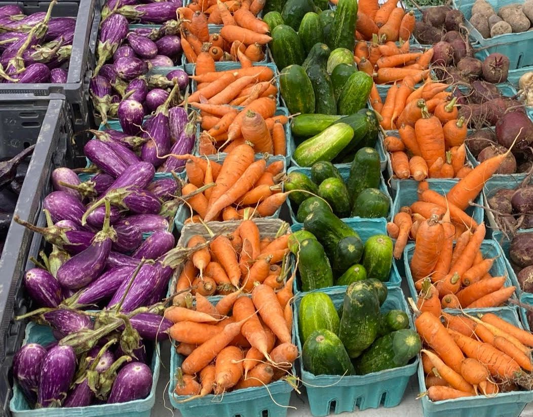 Sowing Her Dream: Deep Roots Organic Farm